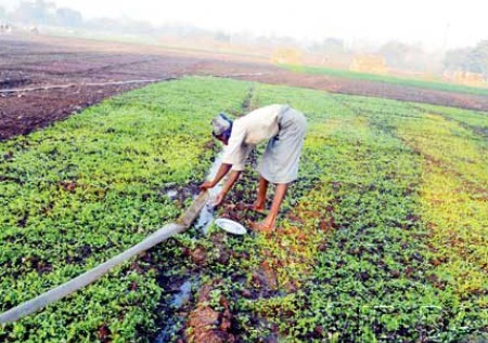 Using polluted water as source of irrigation: The impacts on health of ...