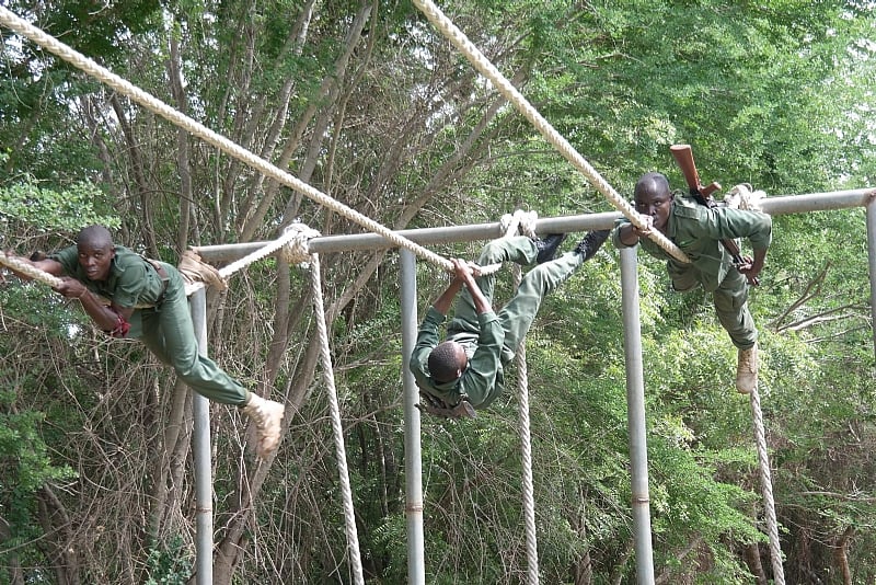 Forest Guards To Hold Guns
