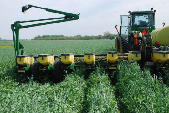 Changing Lives Of Rice Farmers In UER' Through Feed The Future Projects