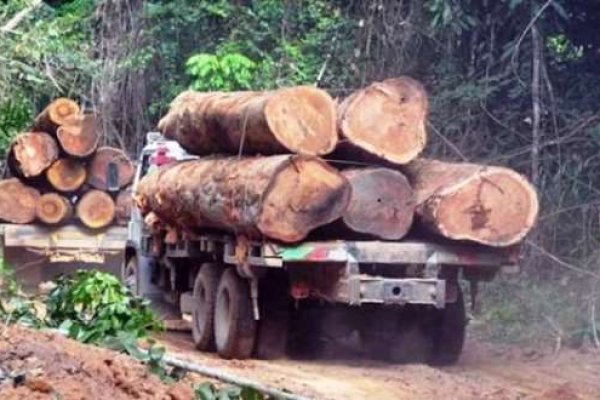 ECOCARE Ghana sues AG, Forest Commission over allocation of rights for ...