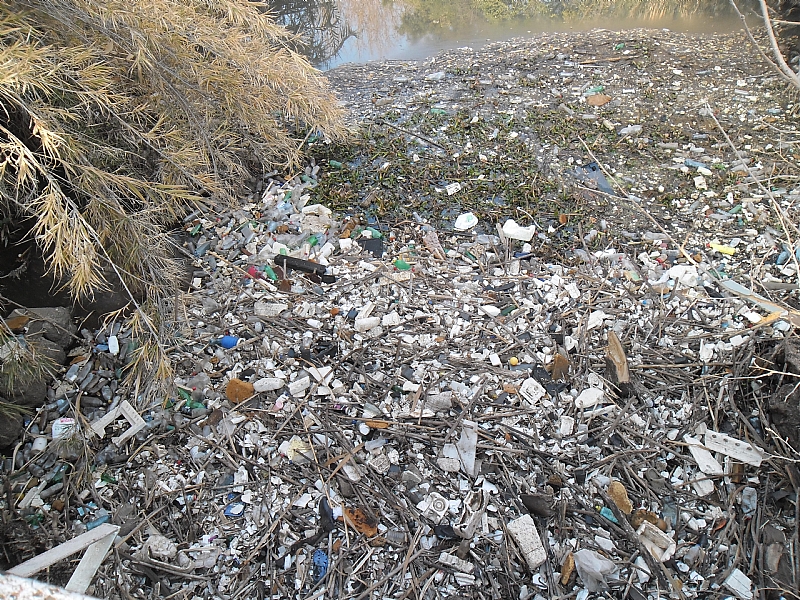 River of bacteria: a South African study pinpoints what's polluting the ...