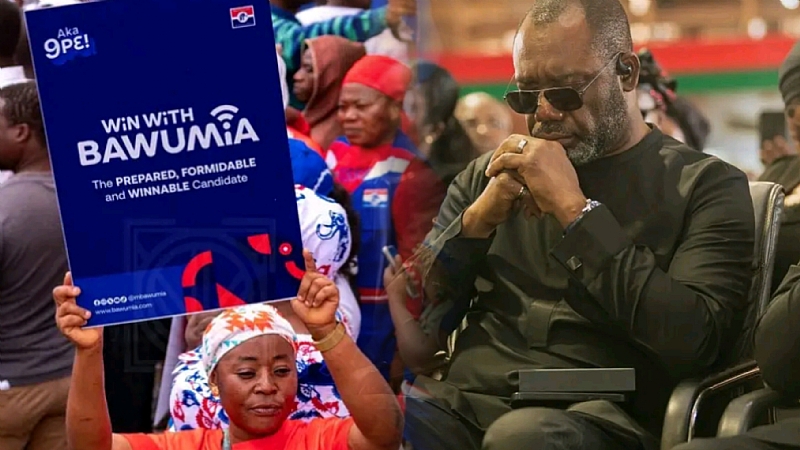 'My public statements in 2024 election contributed to voter ...