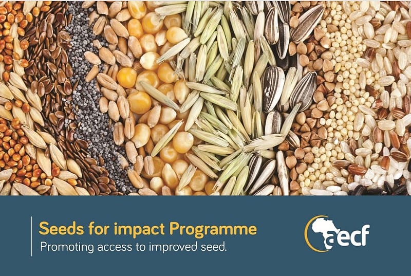 Seeds for Impact West Africa Program Launches in Ghana to Support ...