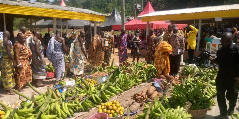 Western Region prepares to host 39th National Farmers’ Day at Tarkwa