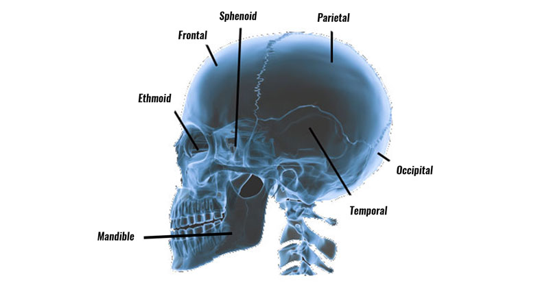 Skull Fractures: A Neurosurgeon's Insight into Causes, Treatment, and ...