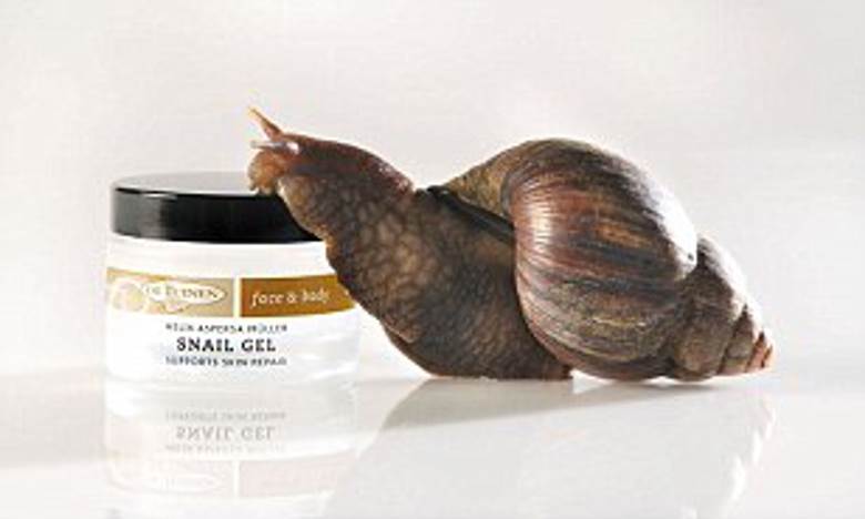 Snail Extract: The Novel treatment for Skin Care my Dangme Tribe ...