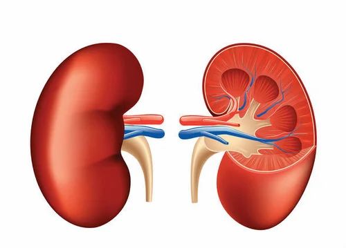 Legislative Instrument to support Ghana's kidney transplant system coming Legislative Instrument to support Ghana's kidney transplant system coming