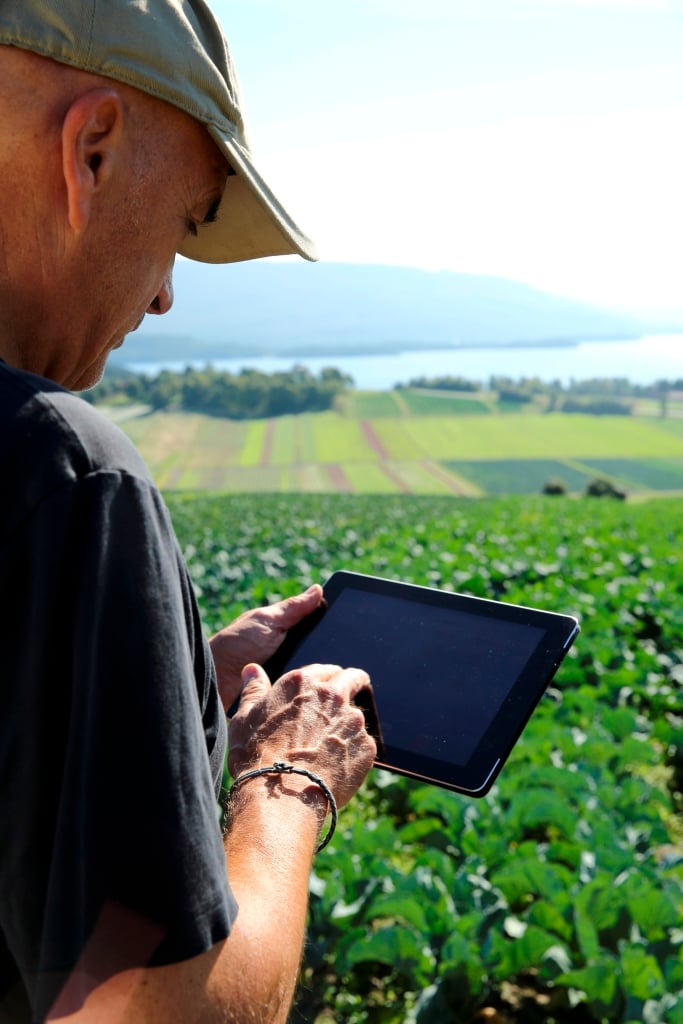 Yara Acquires Leading Crop Nutrition Recommendation Platform To ...