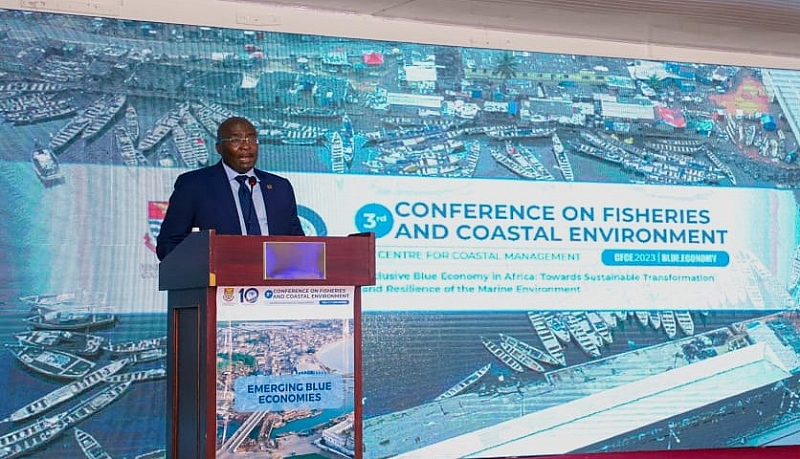 NPP Manifesto will have inclusive Blue Economy component — Bawumia