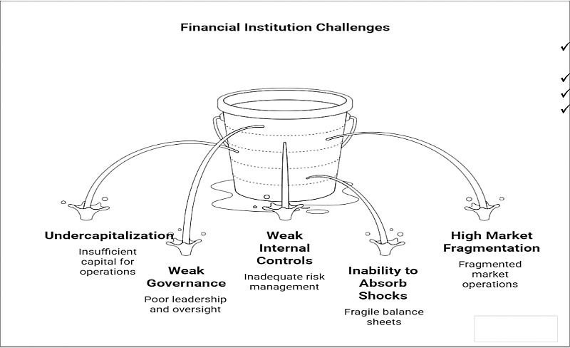 Resetting microfinance: Why the imminent microfinance sector reforms is ...