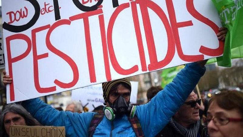 Pesticide ban in two French towns judged valid