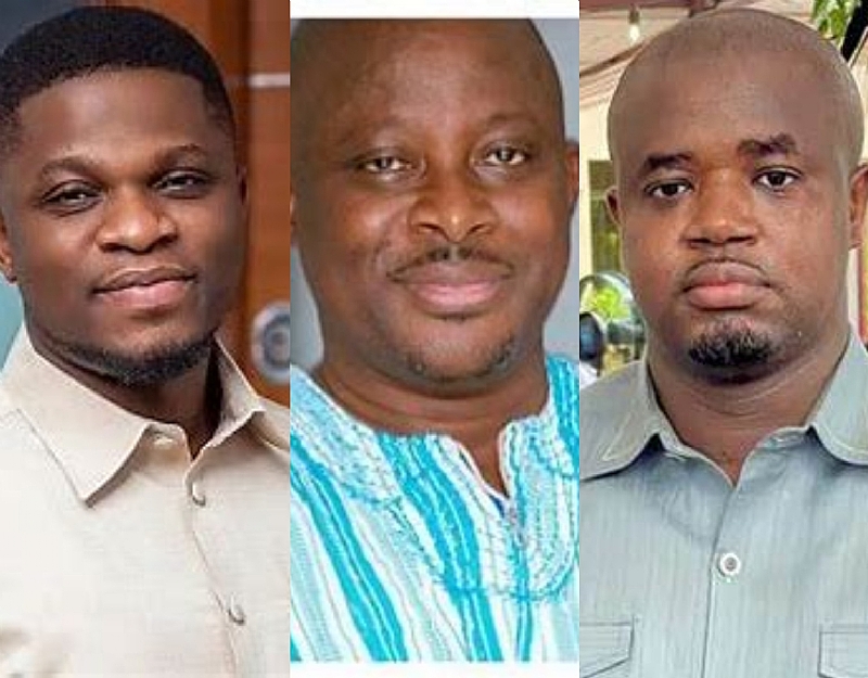 List of confirmed acting CEO and MD appointments by Mahama