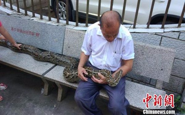 Chinese couple raise 3.7-meter-long python as their child