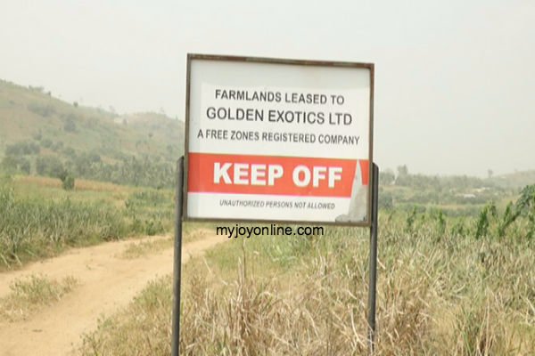 Golden Exotics to halt production in Ghana if…