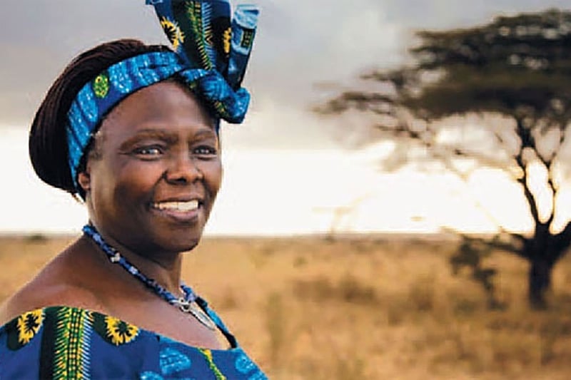 Wangari Maathai: Africa’s First Female Nobel Peace Laureate A Legacy ...