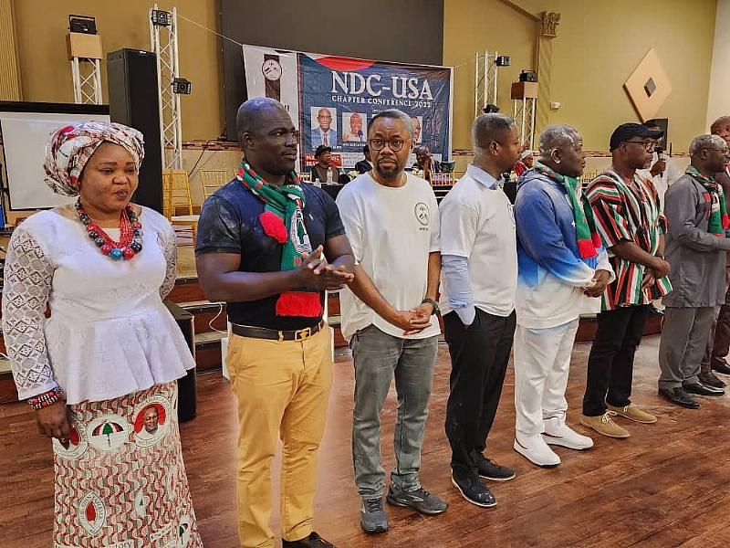 NDC USA elects new executives