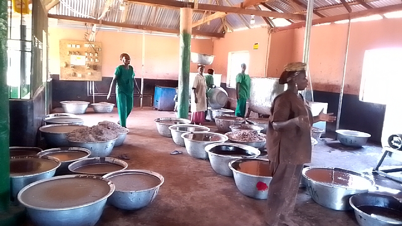 Women-Led SMEs: Yumzaa Shea Butter Processing Center appeals for solar ...
