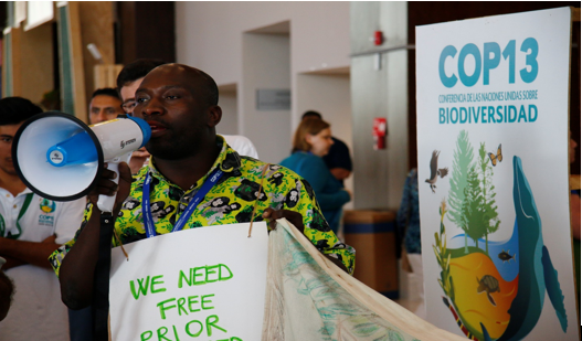 African Environmental Activists Call For Mutual Agreement On ...