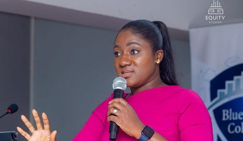 NPP flagbearer race reduced to basest form of indecency — Akosua Manu