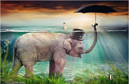 Can An Elephant Live Under An Umbrella? (Part I)