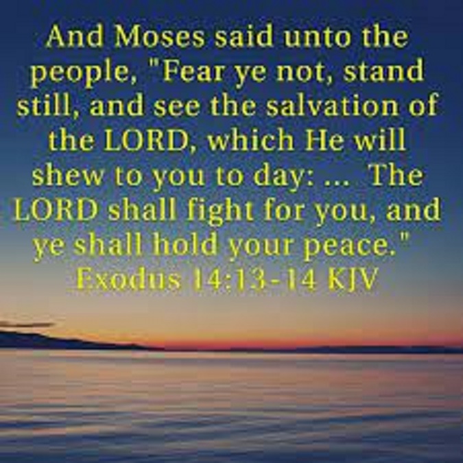 Fear ye not, stand still in 2024