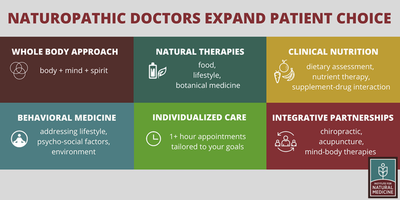 Who is a Naturopathic Doctor in Primary Healthcare?