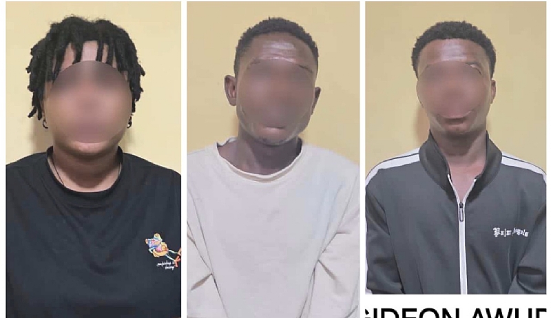 3 suspects arrested for impersonating Bagbin, IGP for cyber fraud to be ...