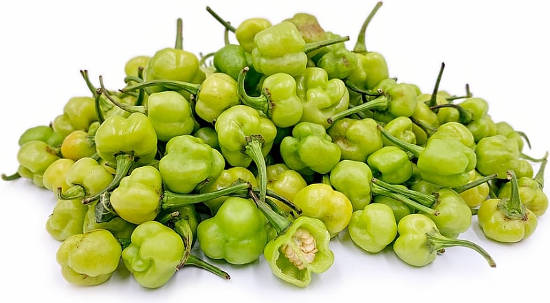 Kpakposhito improves life spans