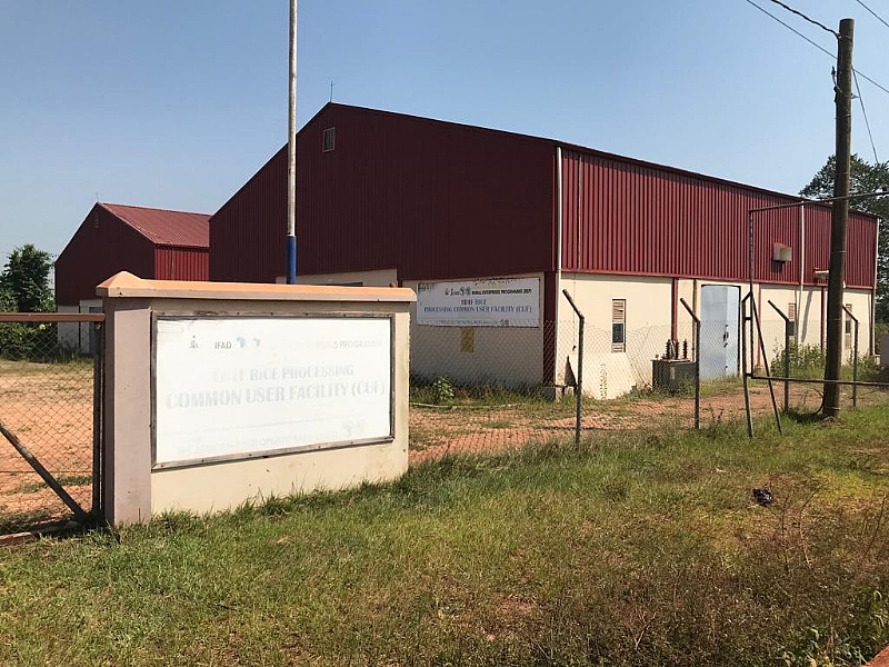 GHS6.7million Akontombra rice factory not operational after two years ...