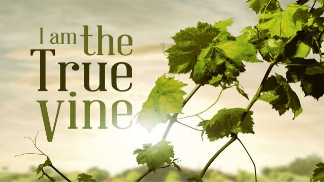 The Gardener, Vine And Branches 1 (The True Vine)