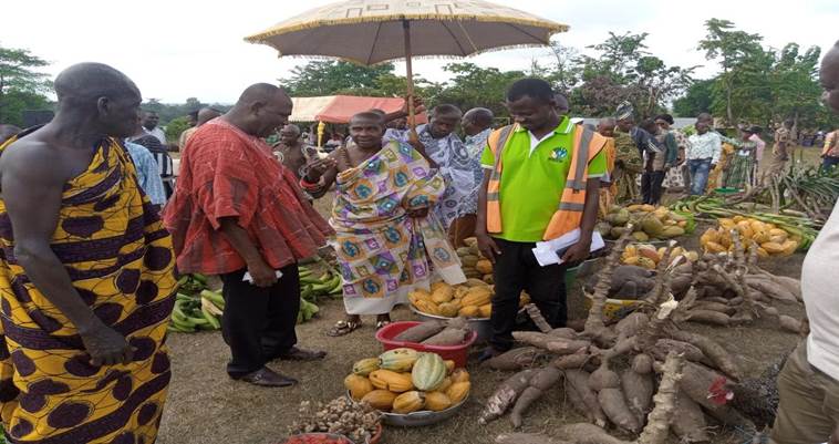 A 56-year-old farmer emerges Offinso North overall best farmer