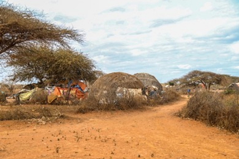 The Determinants of Rural Poverty in Somalia