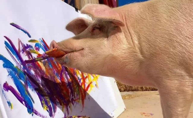Meet The Painting Pig Whose Artworks Are Selling For Thousands Of Dollars