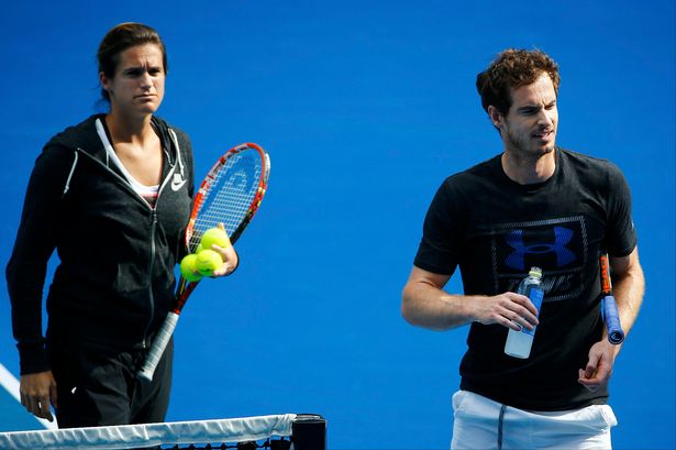 Andy Murray Pulls Out Of Australian Open Andy Murray Pulls Out Of Australian Open