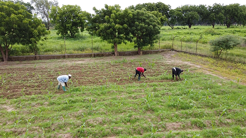 Press statement by the Ghana Agricultural and Rural Development ...