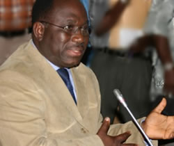 Parliament endorses Anane
