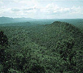 Gov't acquires land for Bui dam project