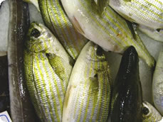 Govt, Chinese company partner in large scale fish farming