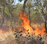 Nkoranza residents decry alarming rate of bushfire