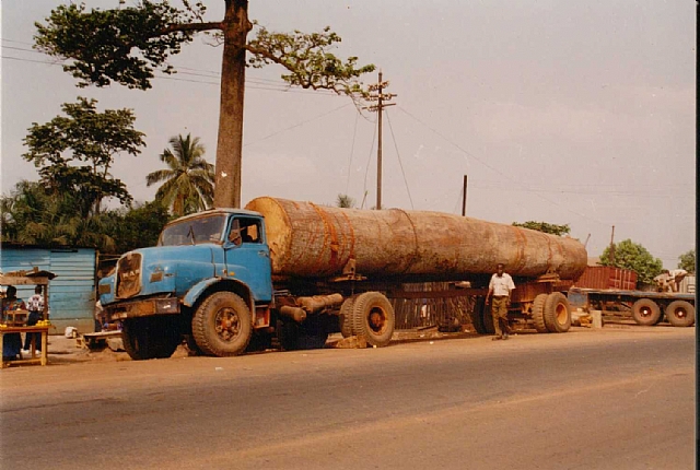 80% Of Timber Supplied Illegally