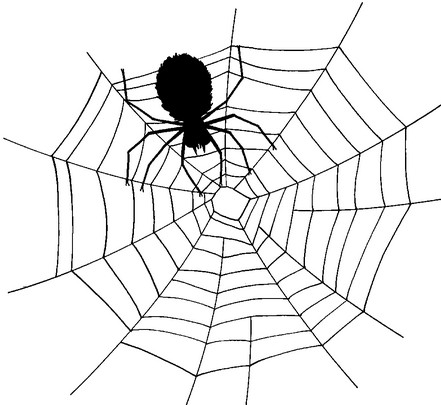 Ghana Goes To Nana Ananse!