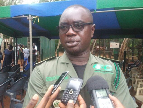 Fear Grips Forestry Commission Over Death Of Forest Guards And Wildlife ...