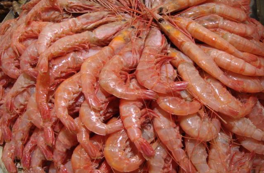 New Shrimp Species Discovered In Cape Peninsula Waters