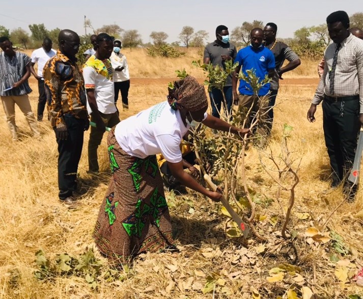 Environmental NGO advocates integration of FMNR into agriculture and ...