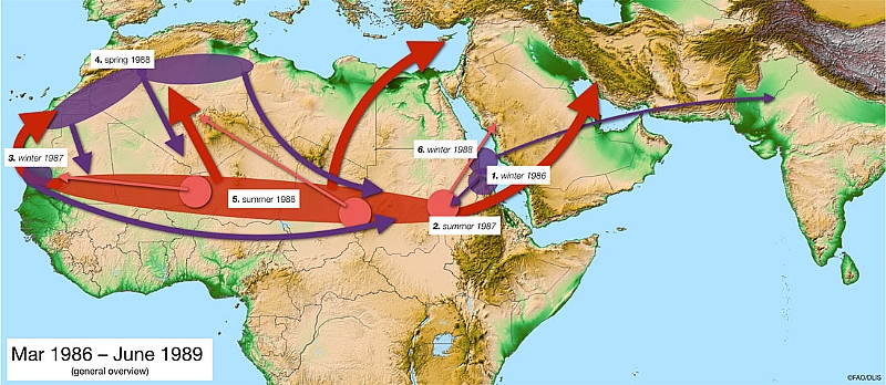 End Threat of Locust Plague: Transform the Desert