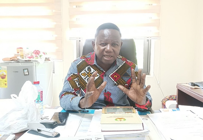 Farmers shift from staple foods to tree crops due to economic hardships ...