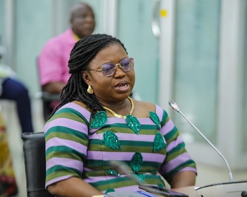 Ministerial Vetting: Let’s dialogue on hiring, recruitment into public sector – Lydia Akanvariba