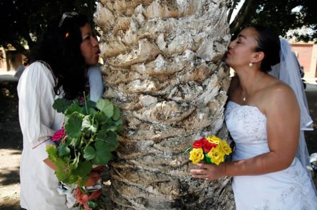 Single Women Are Getting Married To Trees
