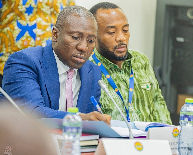Vetting: We will advise ourselves if Chairman Ahiafor keeps ...
