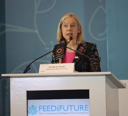 Ghana needs new funding models to promote climate friendly solutions ...